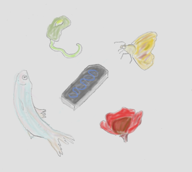 Nanopore Sequencing Is Here to Stay